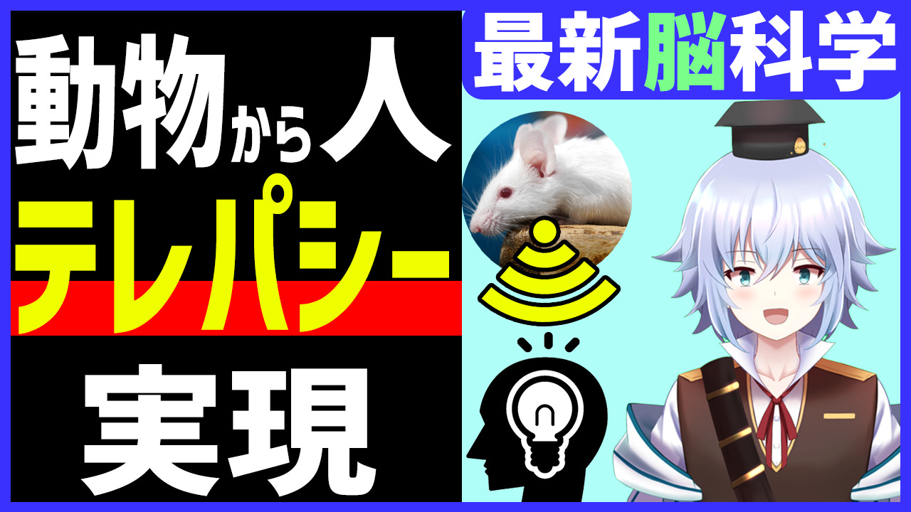[Brain Machine Interface] テレパシー 遂に実現 [BMI] | [Rue] バーチャルブレインラボ VBLab