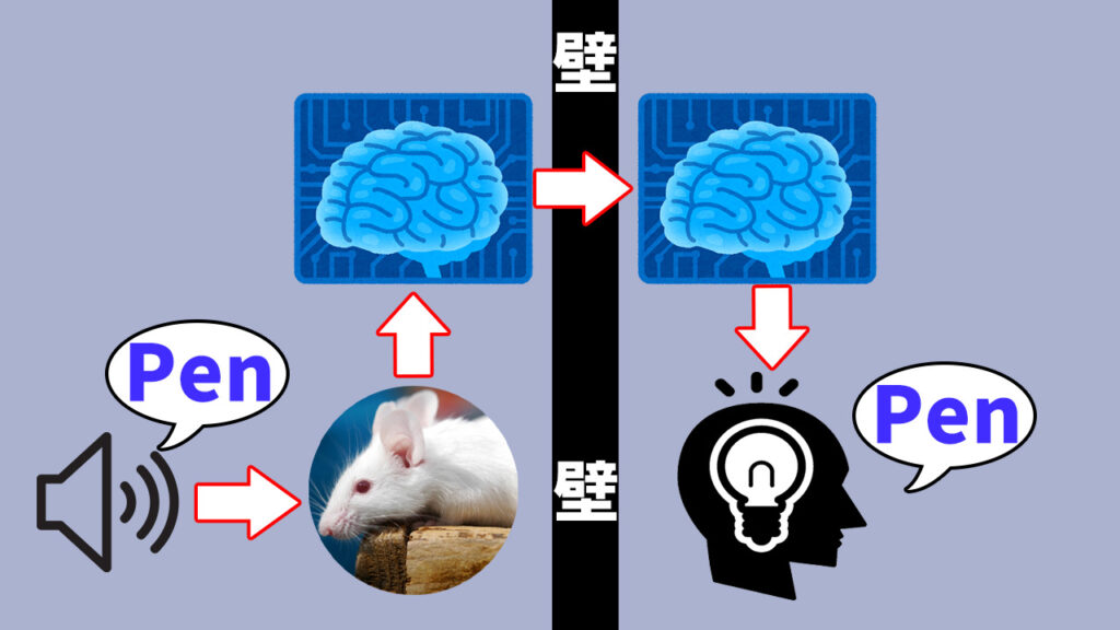[Brain Machine Interface] テレパシー 遂に実現 [BMI] | [Rue] バーチャルブレインラボ VBLab