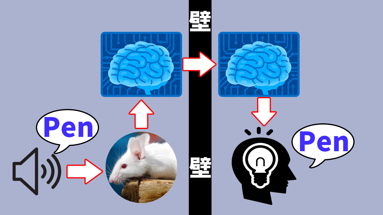 [Brain Machine Interface] テレパシー 遂に実現 [BMI] | [Rue] バーチャルブレインラボ VBLab
