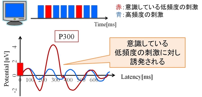 脳波で代表的なBrain Machine Interface技術3選[脳科学] BMI | [Rue] バーチャルブレインラボ VBLab
